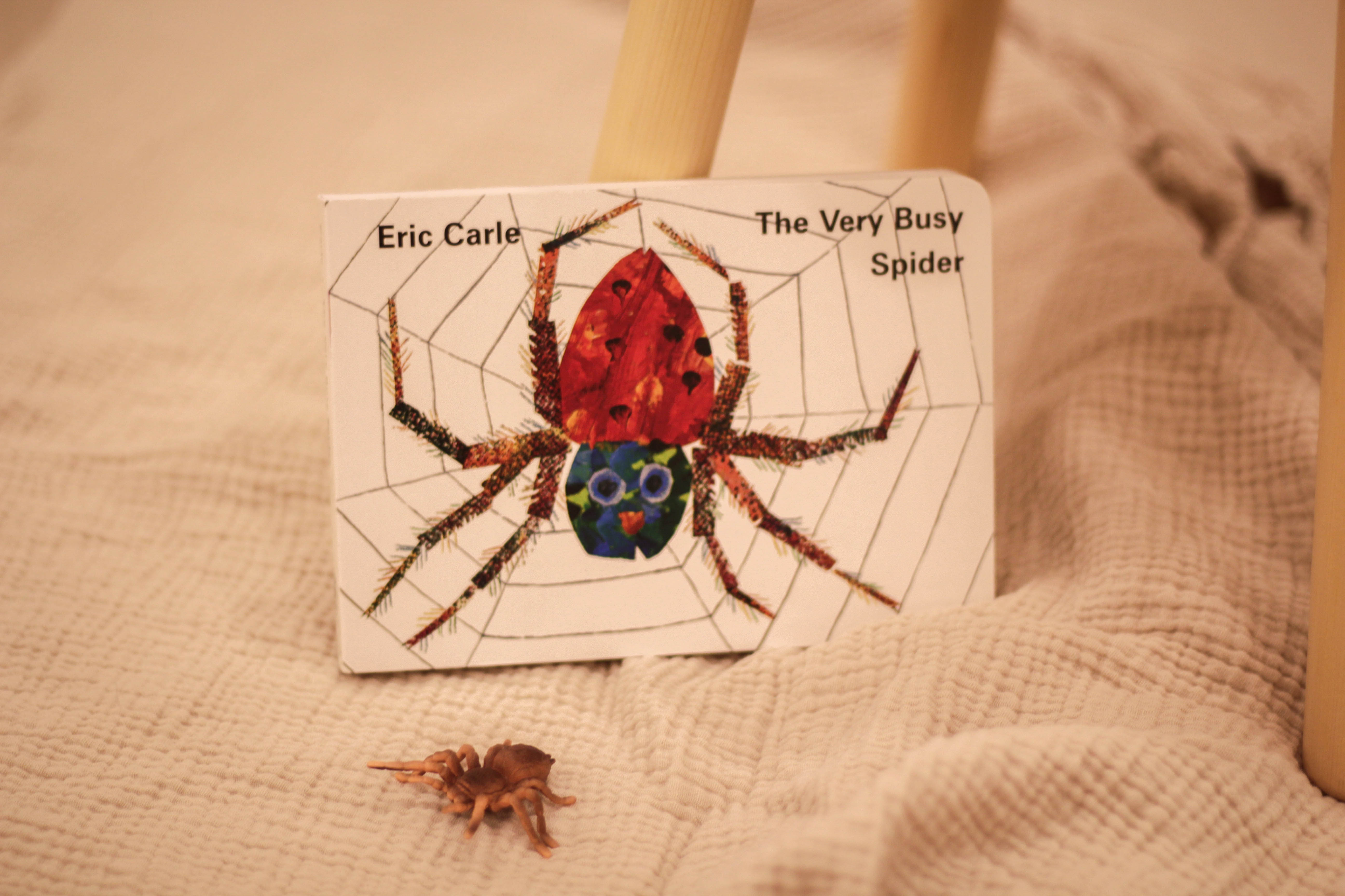 Very Busy Spider Eric Carle The Very Busy Spider Eric Carle Sequencing