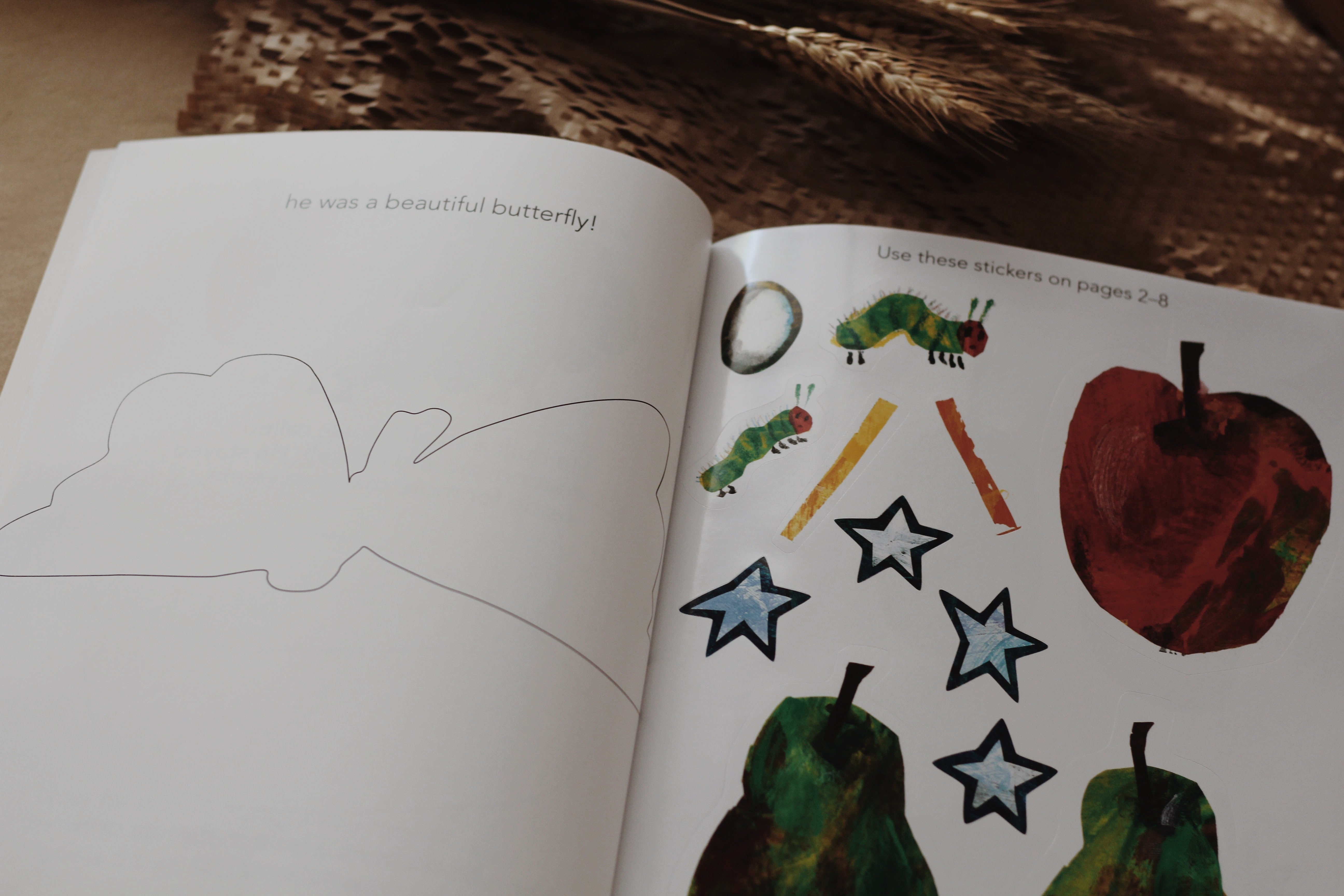 Very Hungry Caterpillar Book Pages My Own The Very Hungry Caterpillar