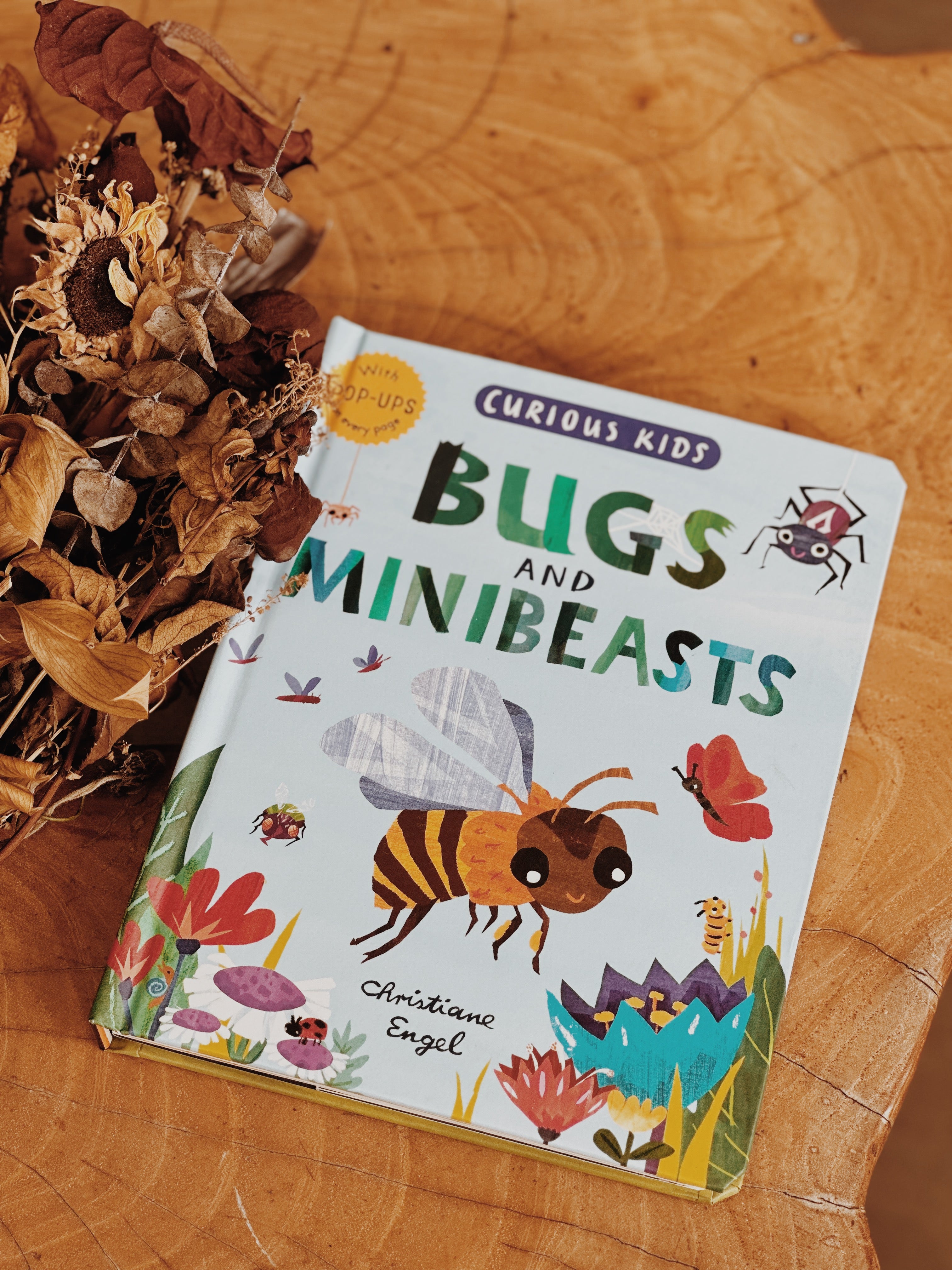 Curious Kids Books – Number Twelve