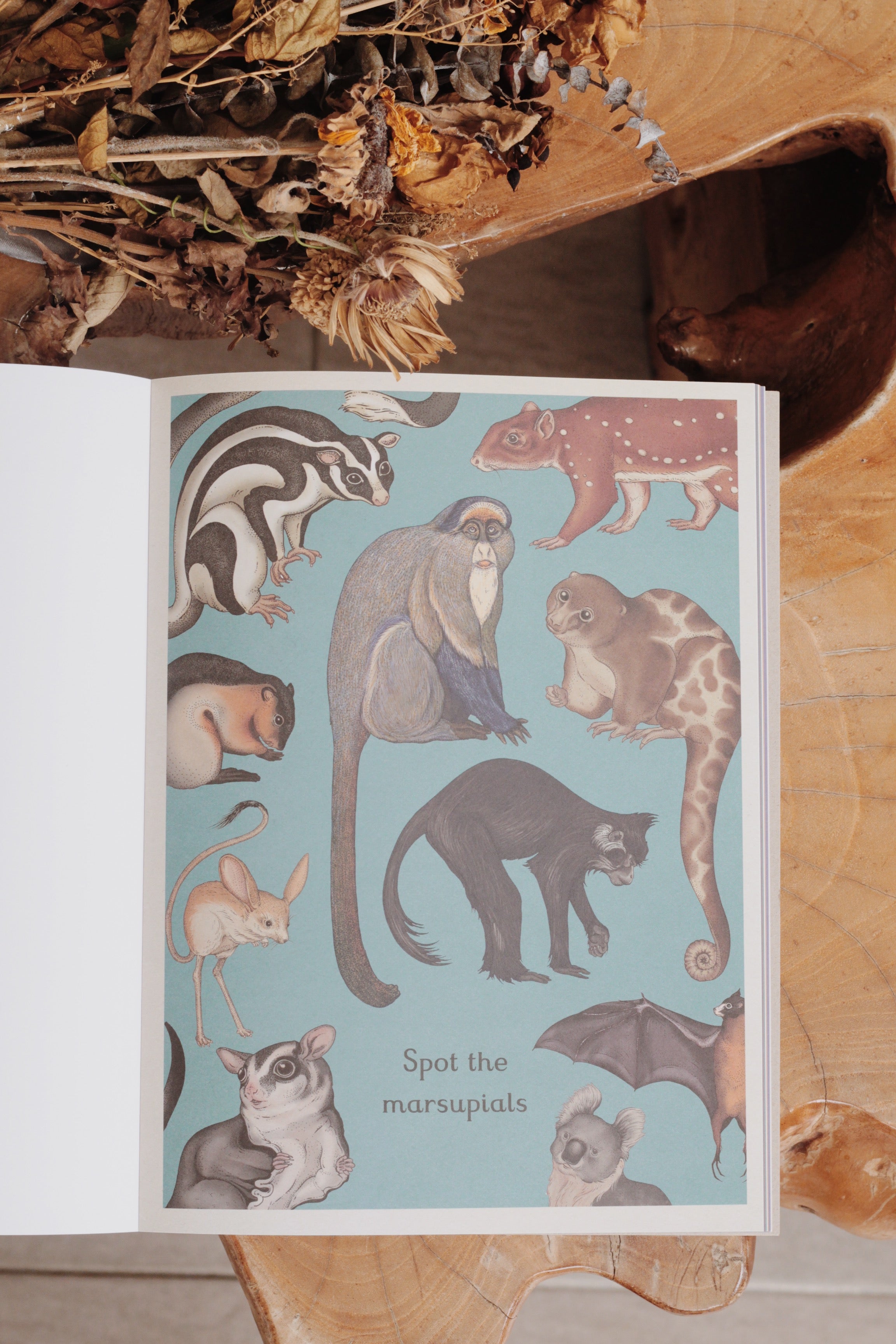 Welcome to the Museum Activity Books – Number Twelve