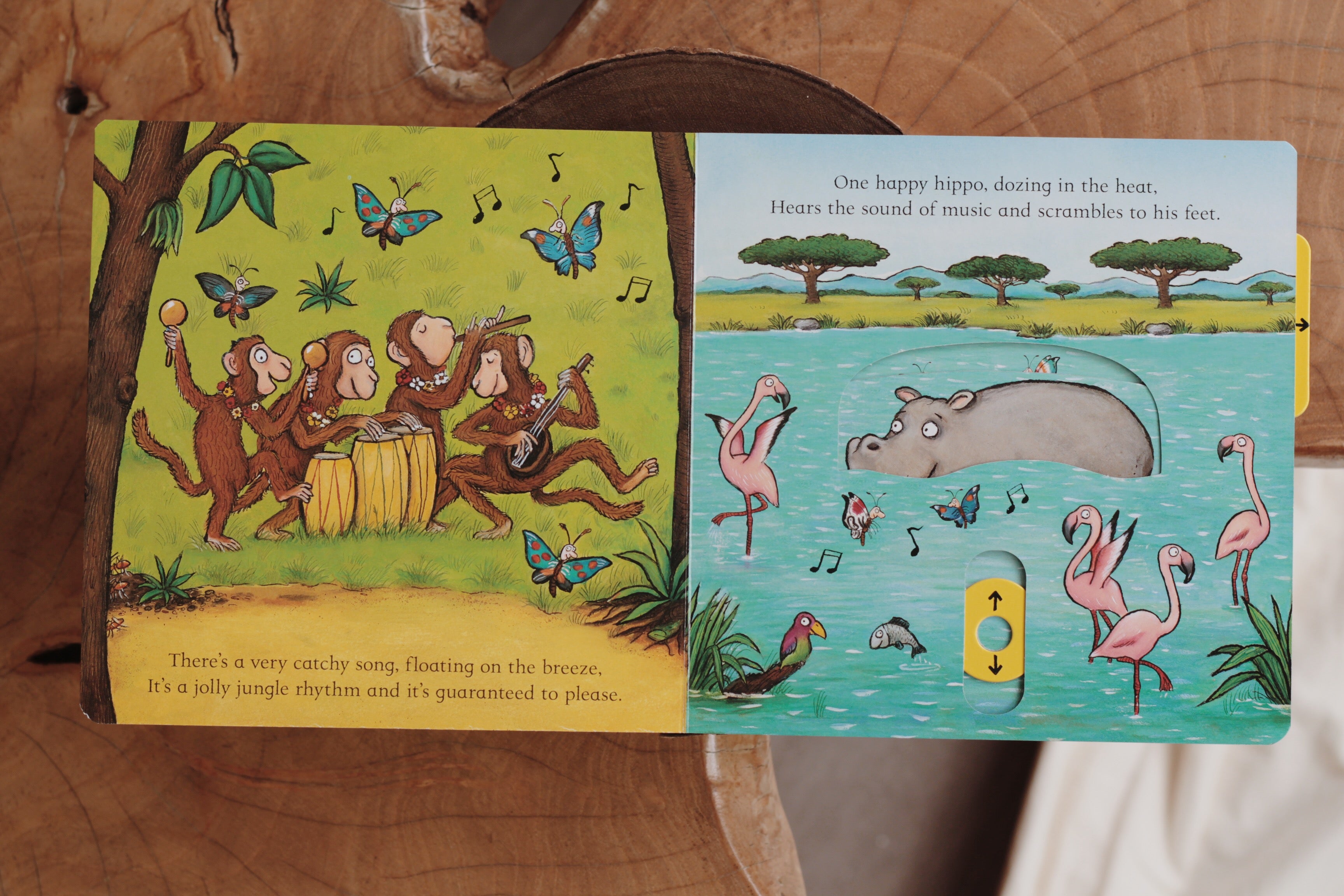 A Push, Pull, Slide Books – Number Twelve