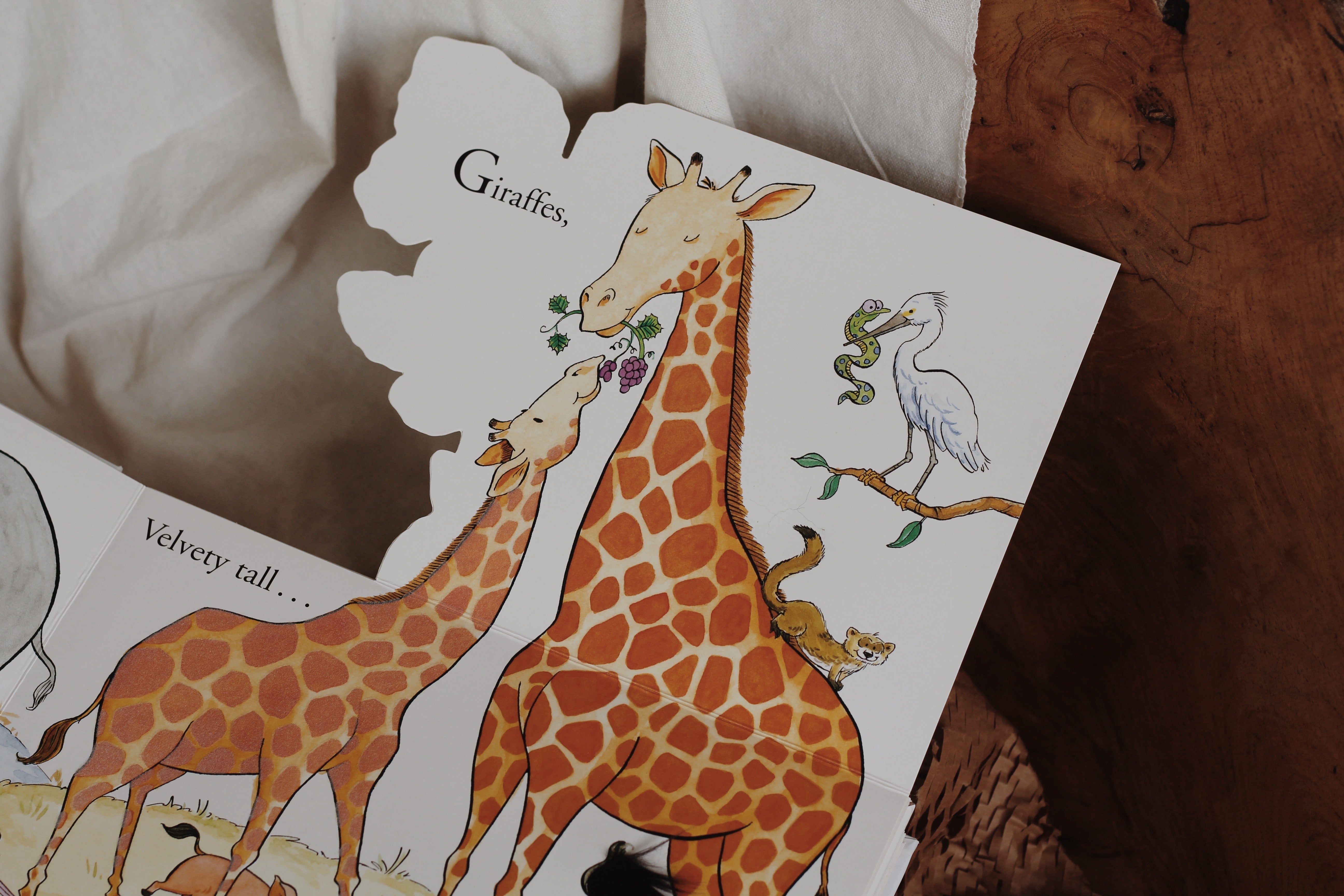 Alphabet – Number Twelve